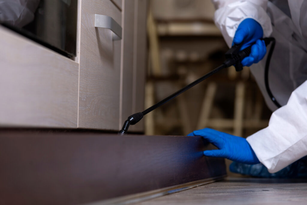 About AlphaPest | Auckland Pest Control Specialists