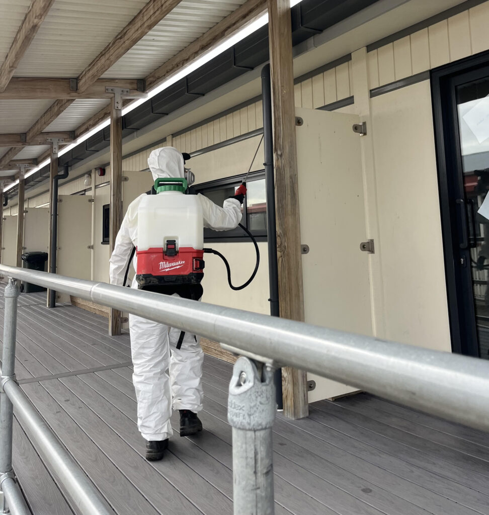 Expert Auckland Pest Control Services | AlphaPest